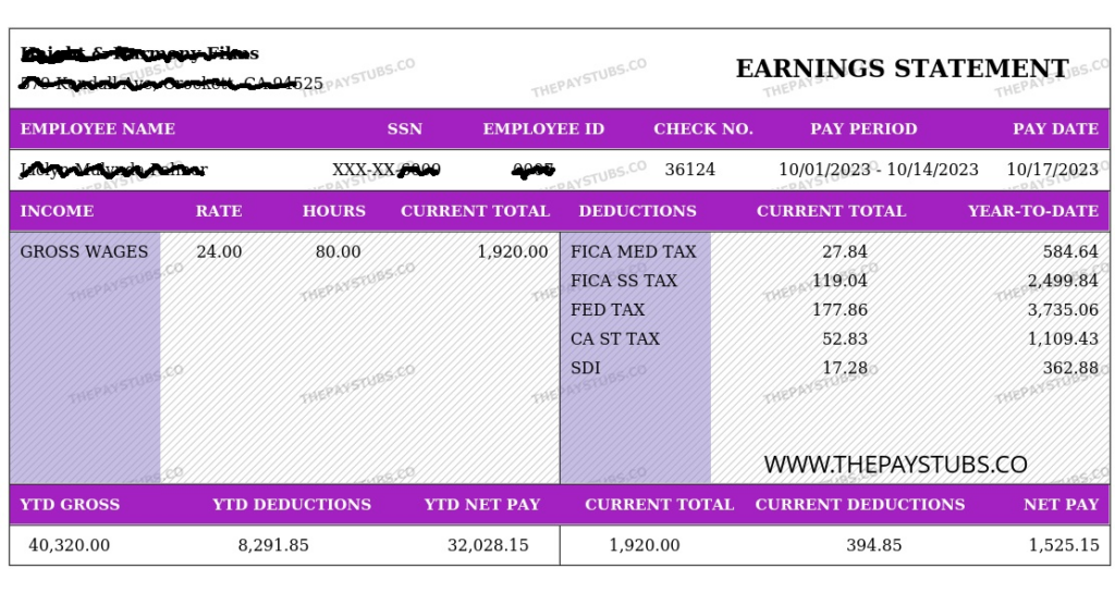 PayStub Templates - ThePayStubs