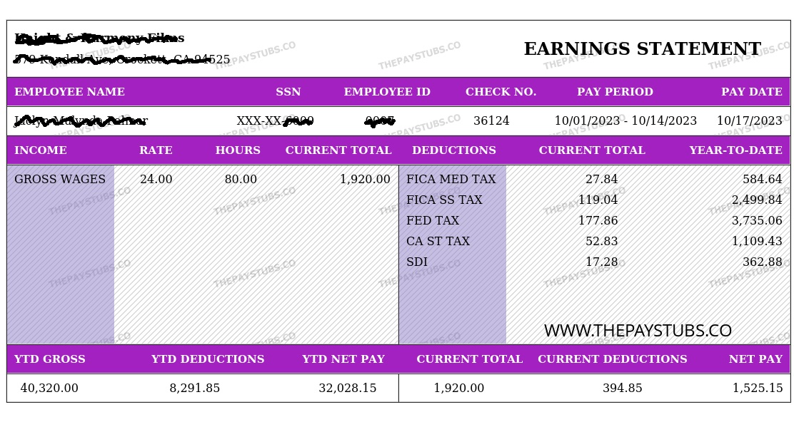 PayStub Templates - ThePayStubs