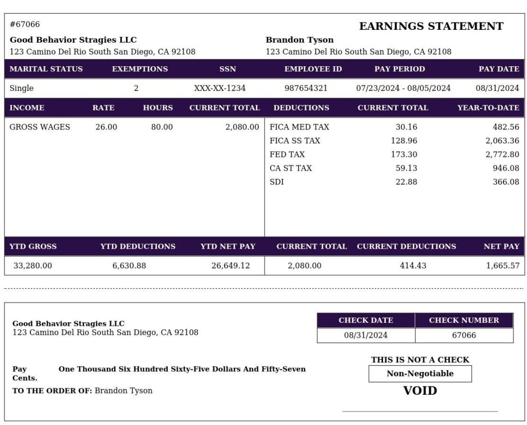 PayStub Templates - ThePayStubs