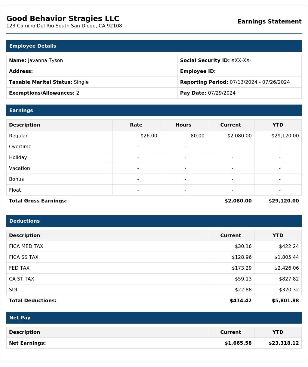 PayStub Templates - ThePayStubs