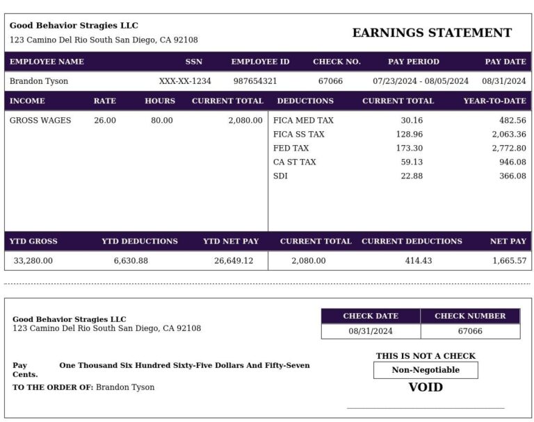 PayStub Templates - ThePayStubs