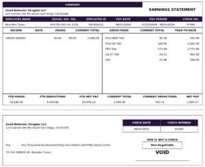 PayStub Templates - ThePayStubs